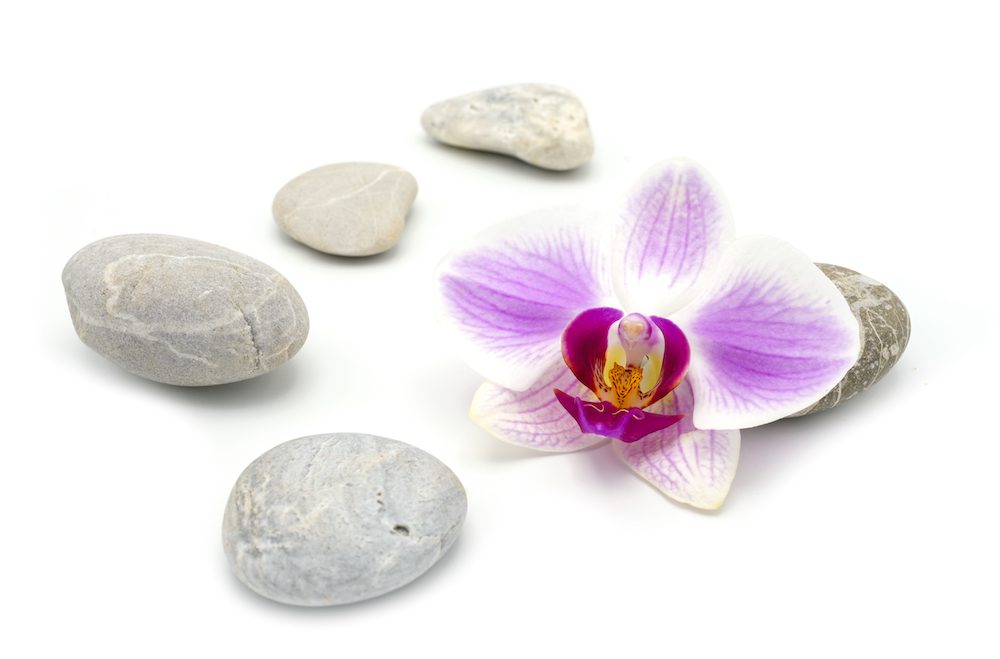 Unpacking Grief: How It Feels Like Carrying a Stone in Your Pocket