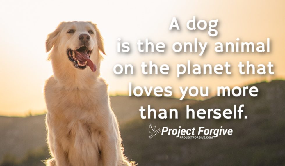 Life Lessons From A Dog